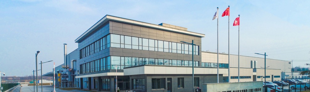 History | DGS Druckguss Systeme